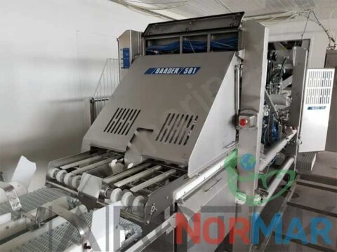 The Essential Guide to Choosing Fish Filleting Machines